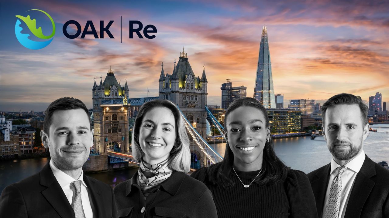 Oak Re unveils troika of leaders to spearhead underwriting segments ...